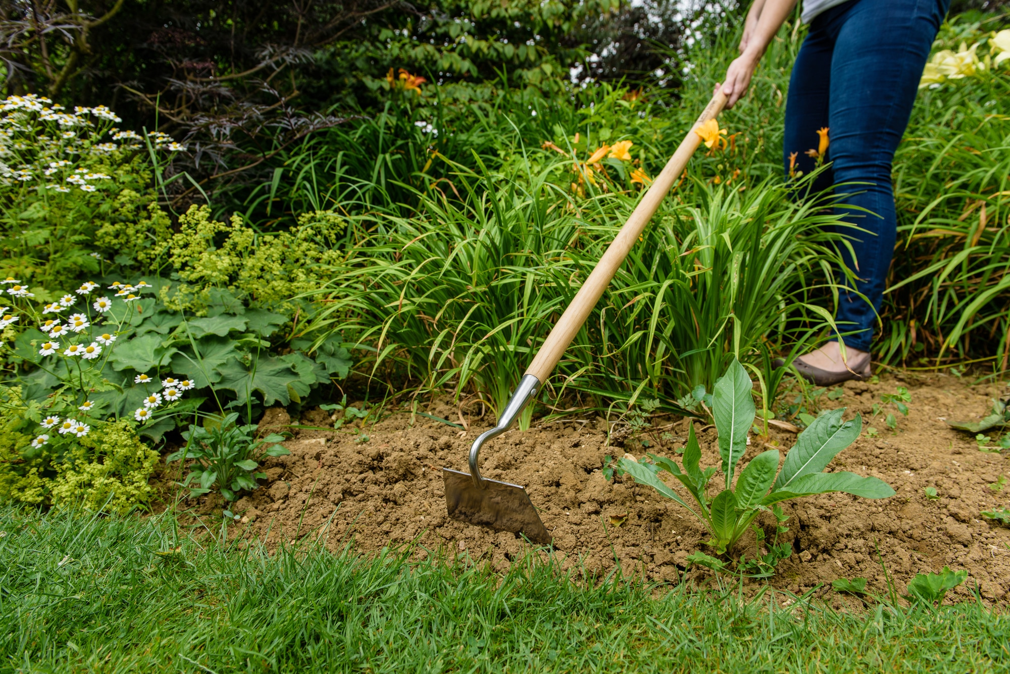 I'm interested in... Select An Option Agricultural Machinery Groundcare ...