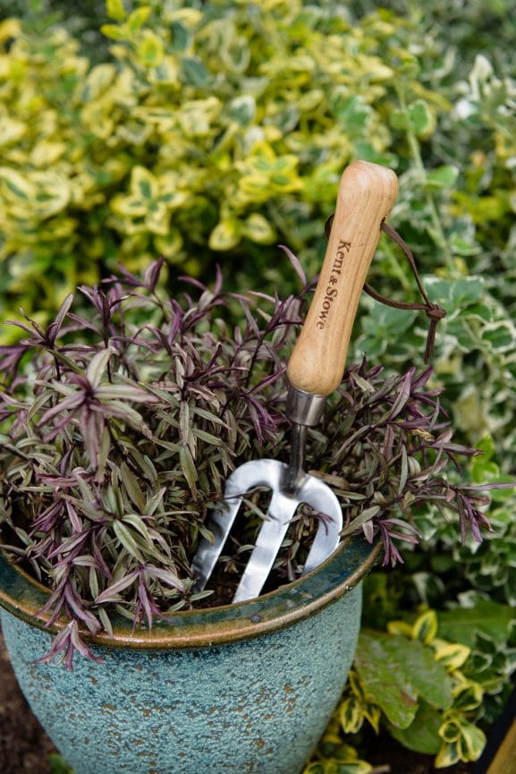 Stainless Steel Hand Fork - Thurlow Nunn Standen