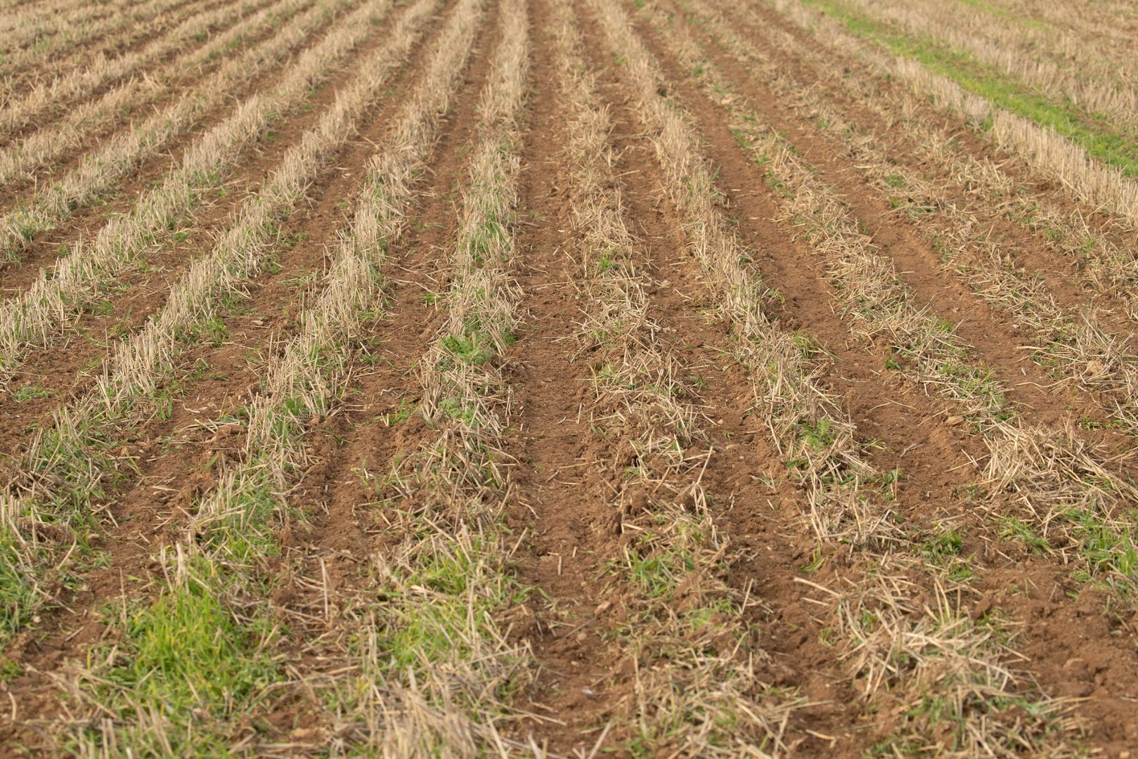 Results have been pleasing, he says.